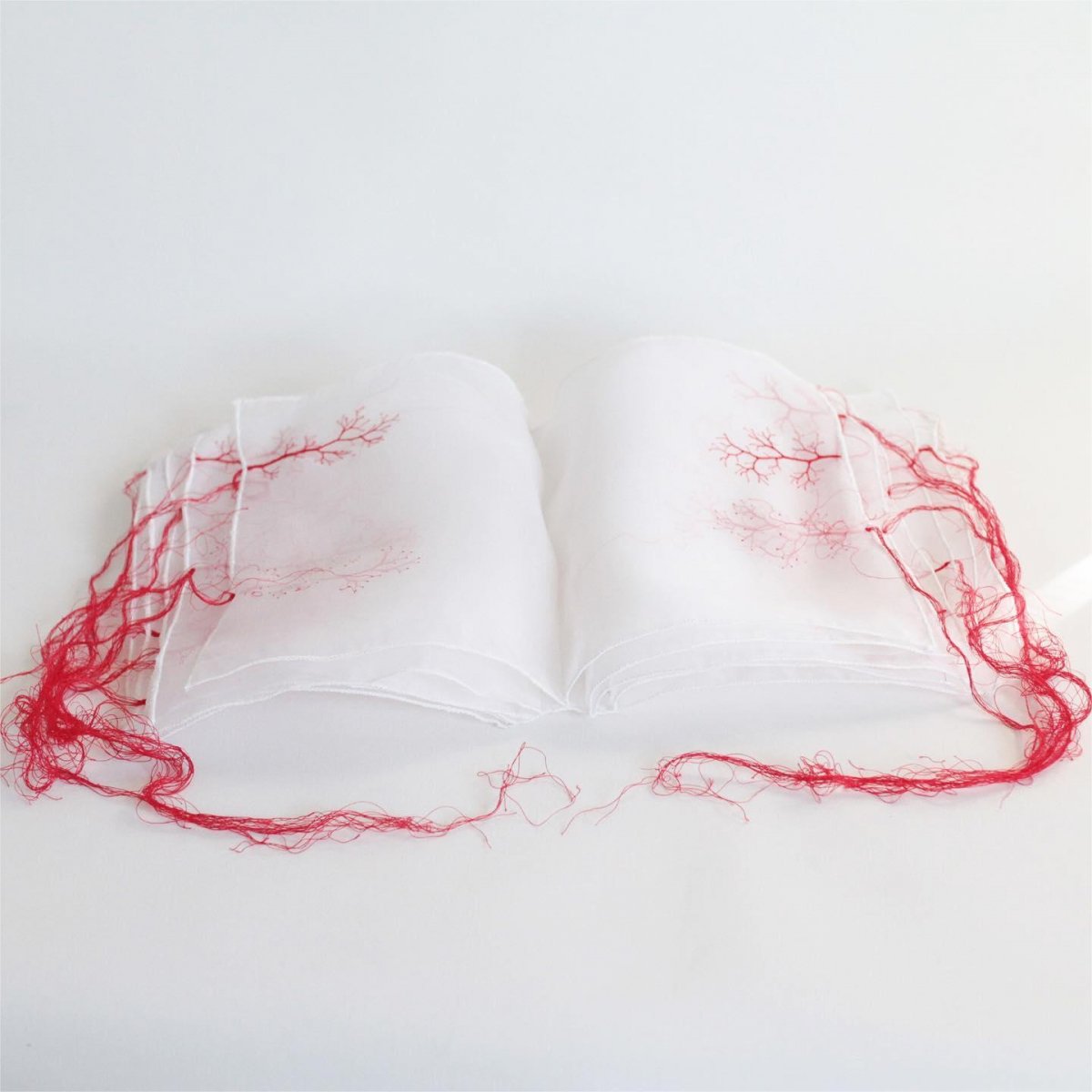 YinjiSpace - Japanese-american artist x Rima Day